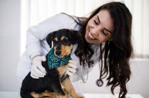 What Causes Muscle Spasms In Dogs? What You Need to Know