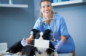 Pyoderma In Dogs - What It Is, Different Types & How To Treat It