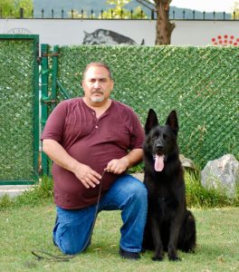 The 7 Best Breeders of German Shepherd Puppies in Florida